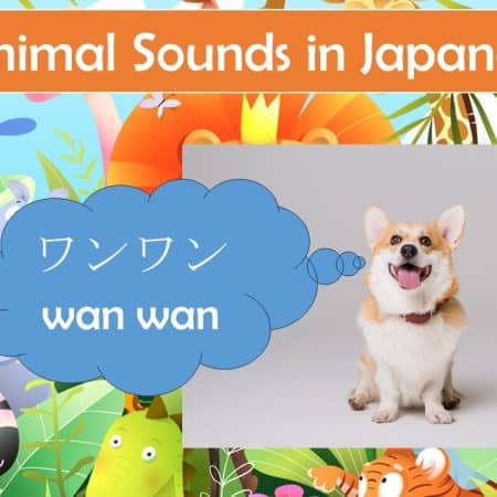 Group and Private Online Japanese Classes for Kids